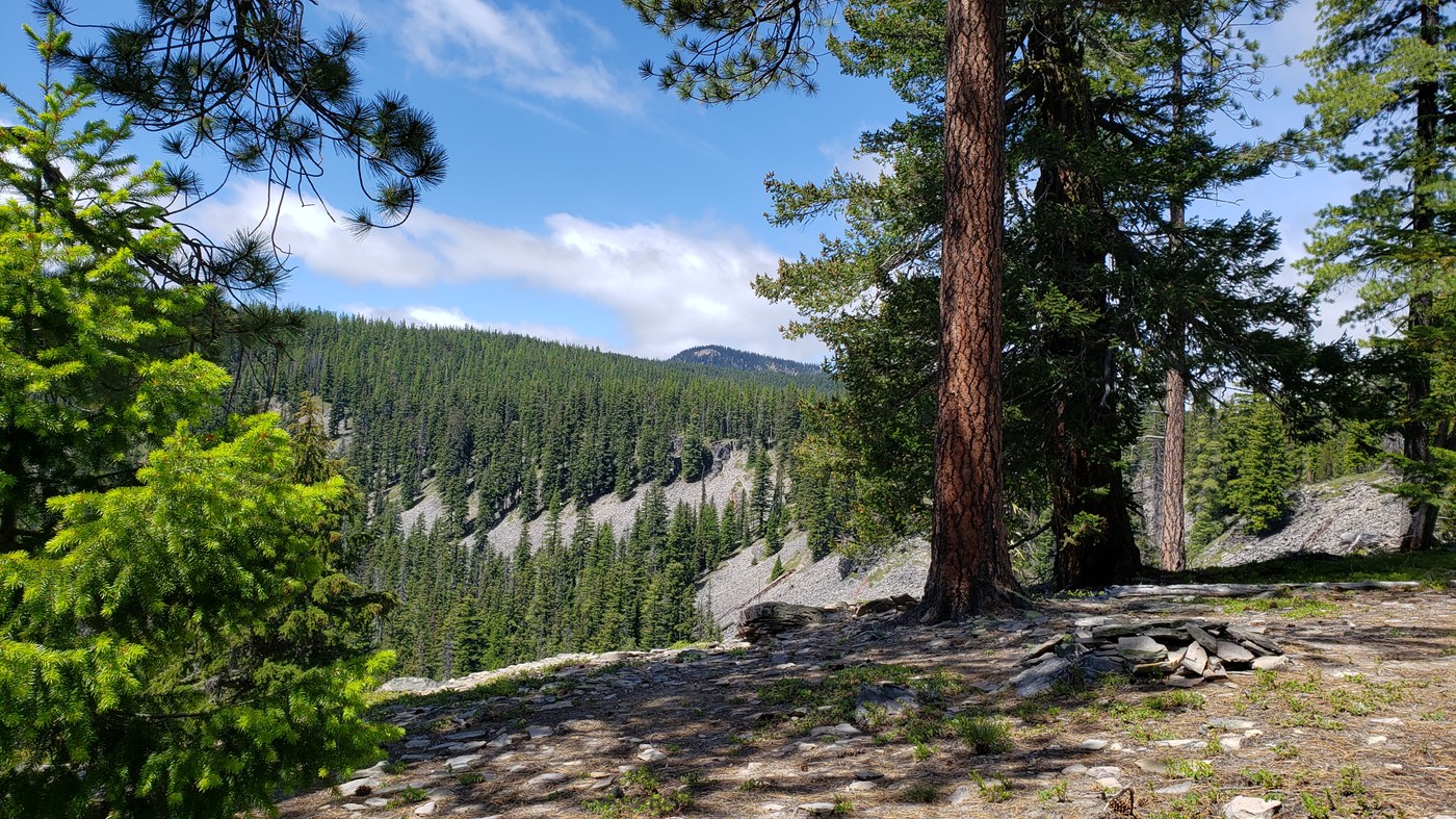 Sand Ridge — Washington Trails Association