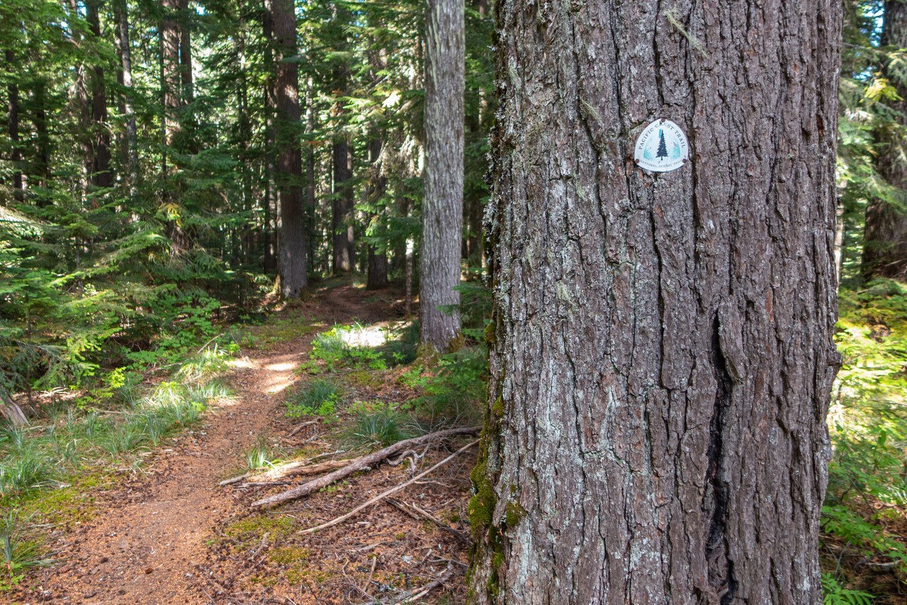 Pacific Crest Trail (PCT) - Stampede Pass to Tacoma Pass — Washington ...