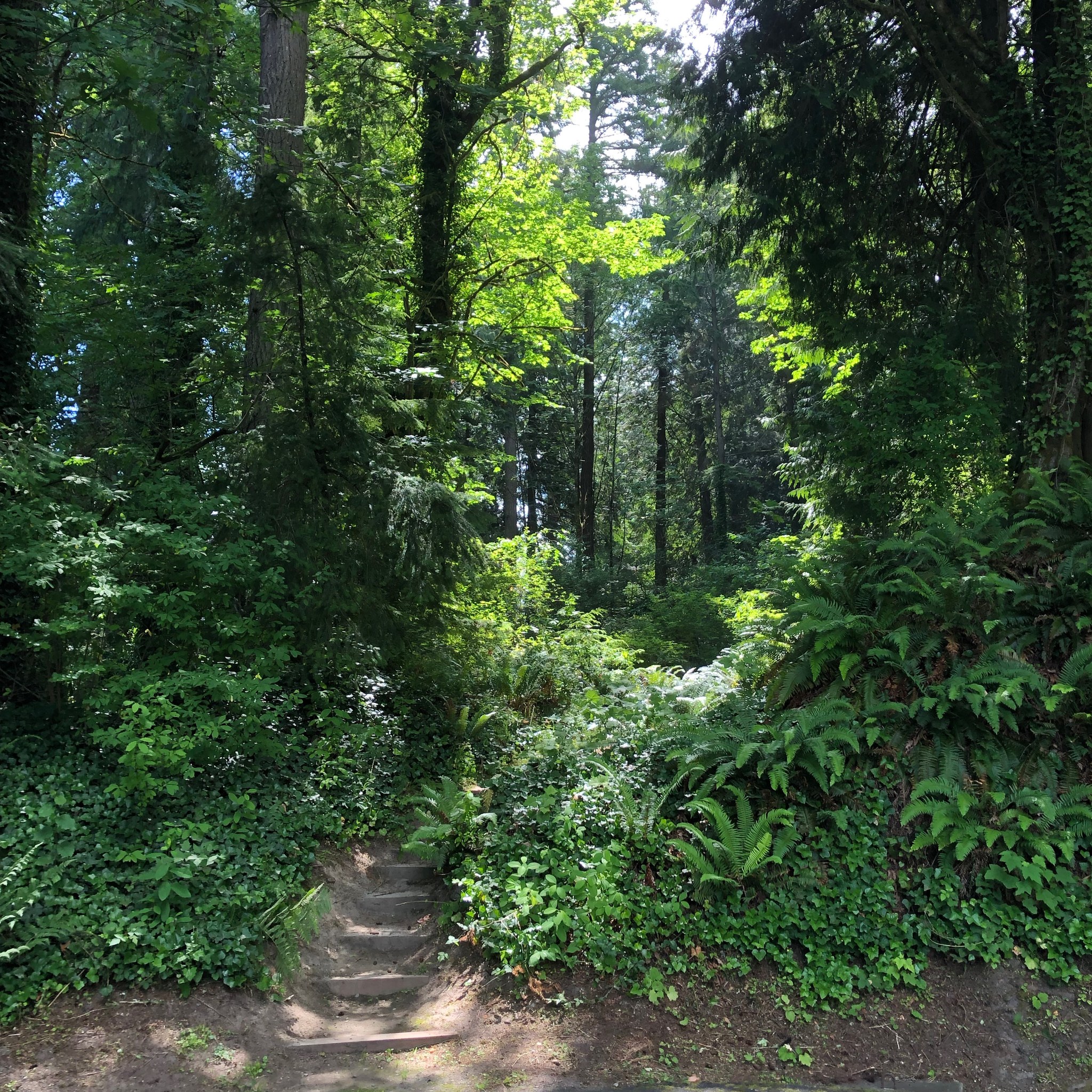 Illahee State Park — Washington Trails Association