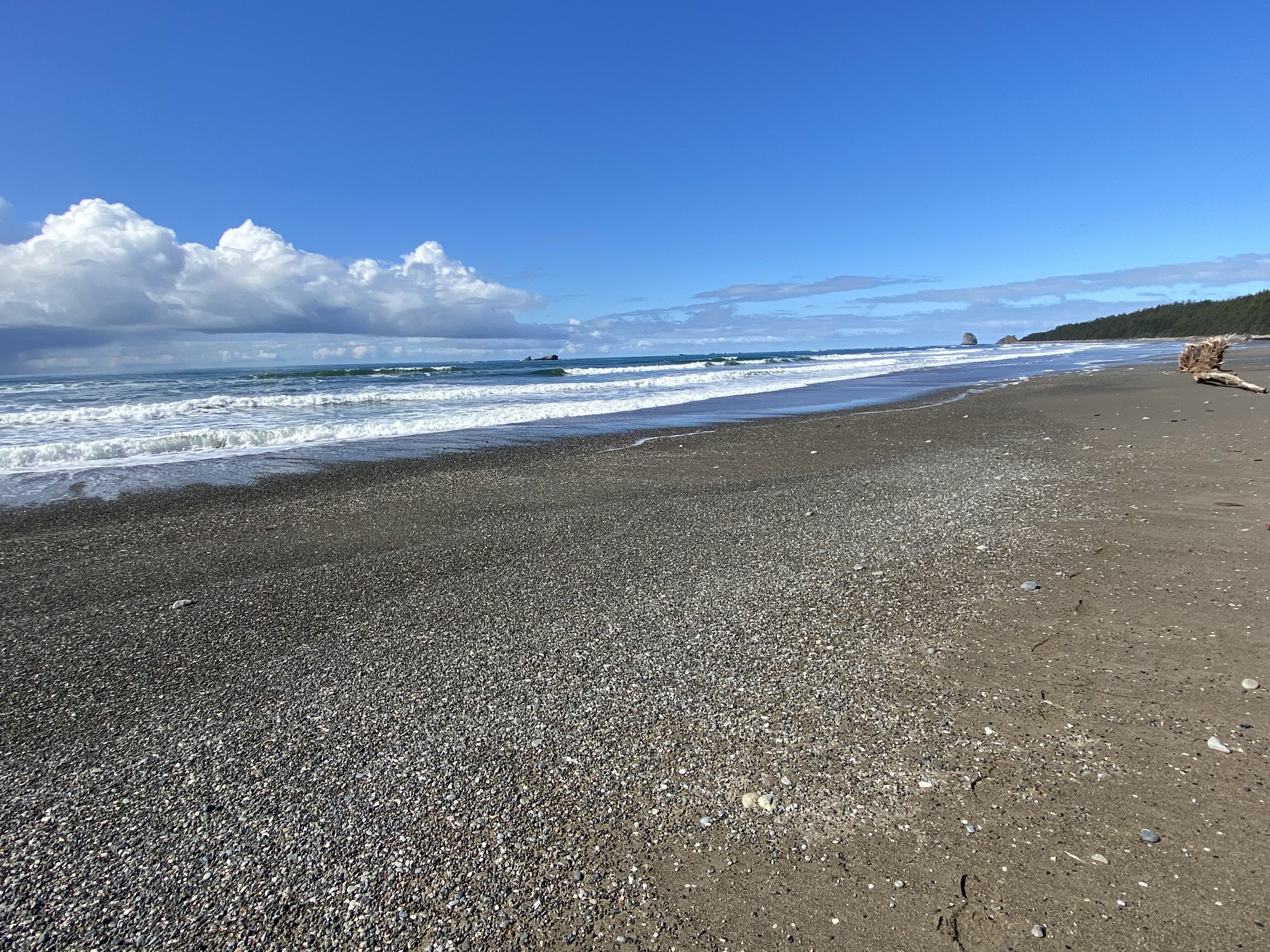Sand Point — Washington Trails Association