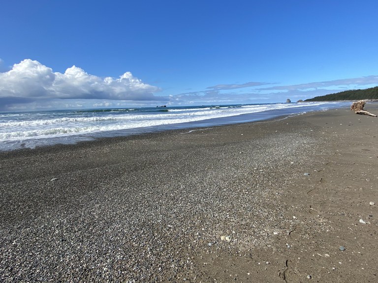 Sand Point — Washington Trails Association