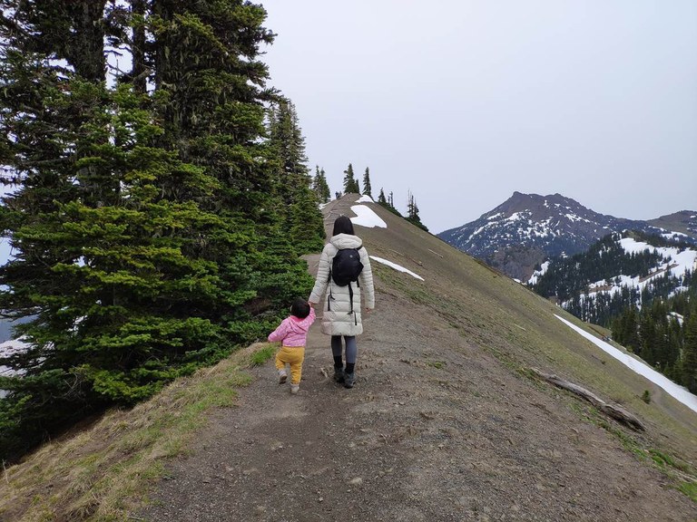 Sunrise Point Trail — Washington Trails Association