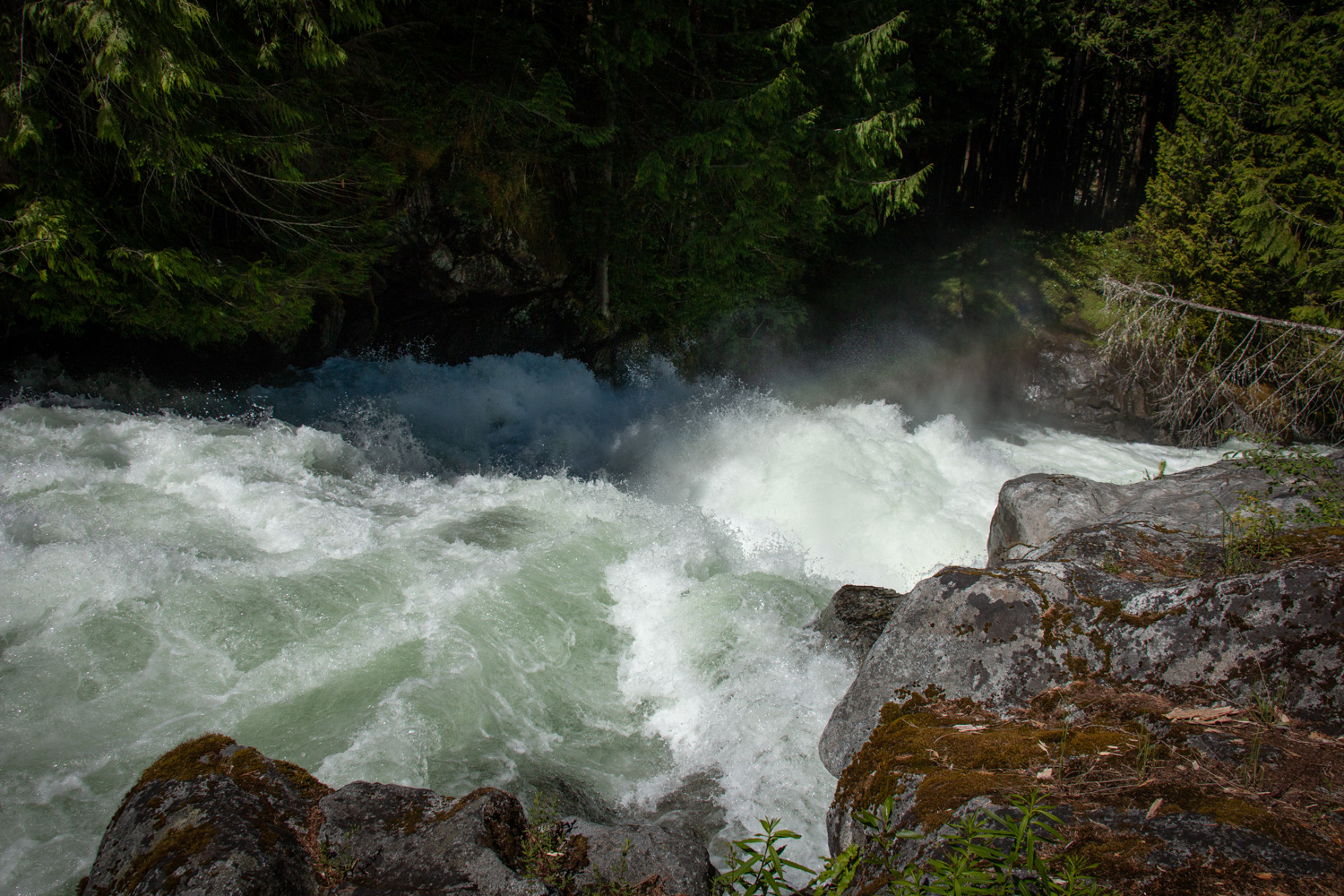Alpine Falls — Washington Trails Association