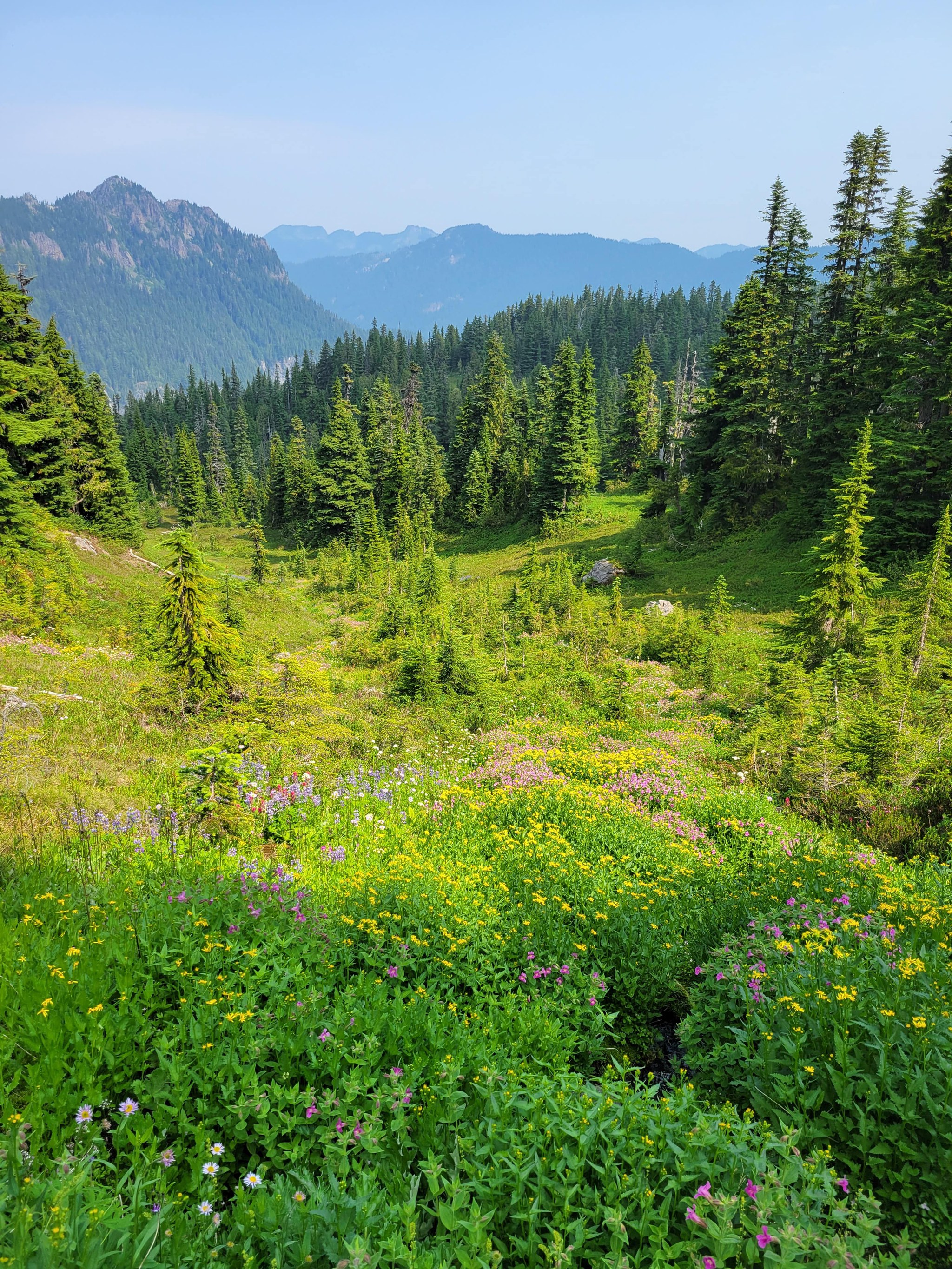 Mother Mountain Loop — Washington Trails Association