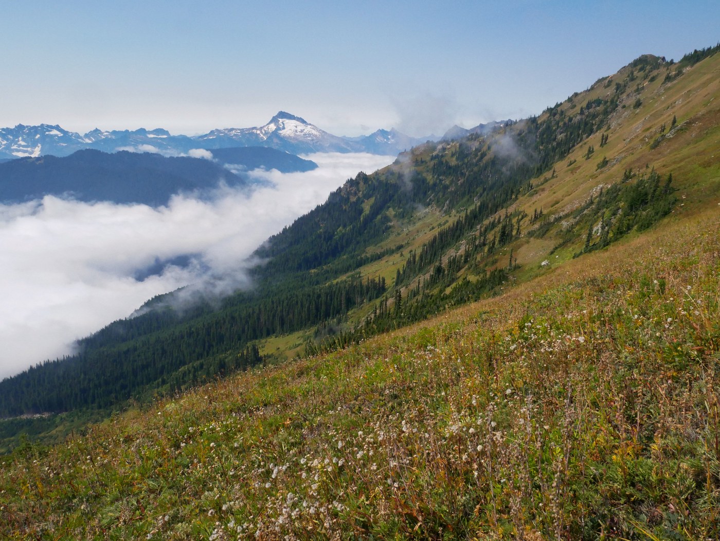 Glacier Peak Meadows — Washington Trails Association