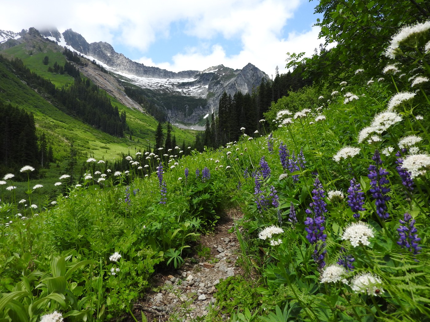 Boulder Creek — Washington Trails Association