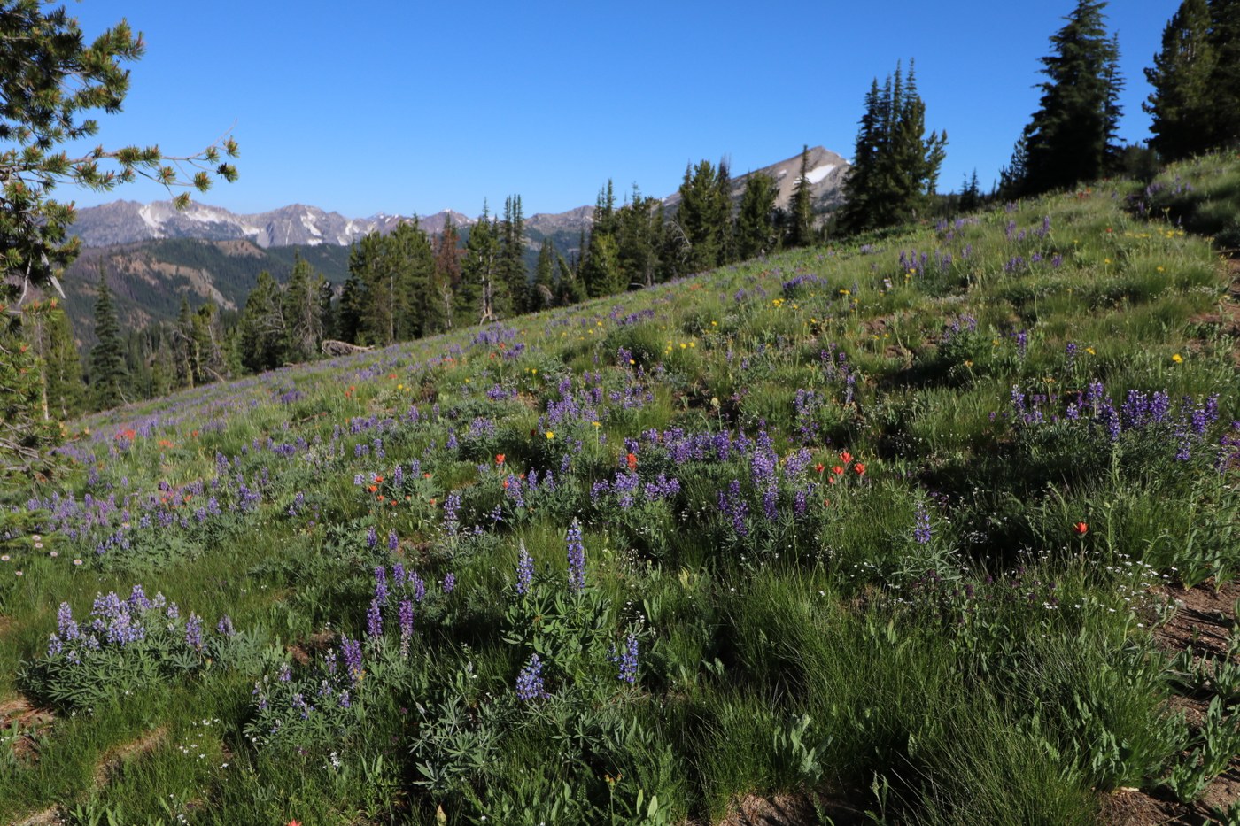 Pyramid Mountain — Washington Trails Association