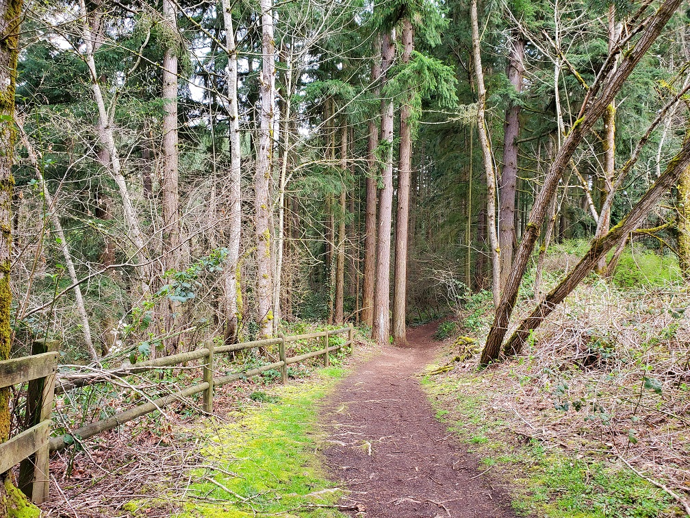 Sunset Ravine Trail — Washington Trails Association