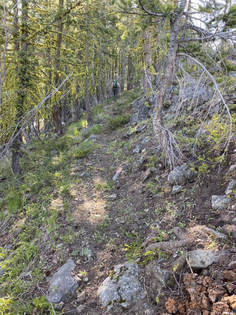 Lookout Ridge — Washington Trails Association