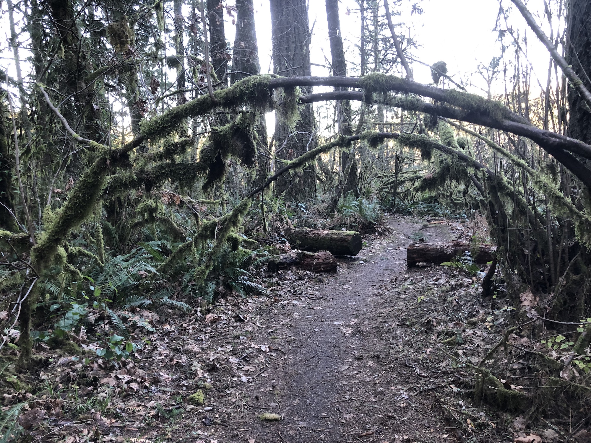 Oxbow Regional Park — Washington Trails Association
