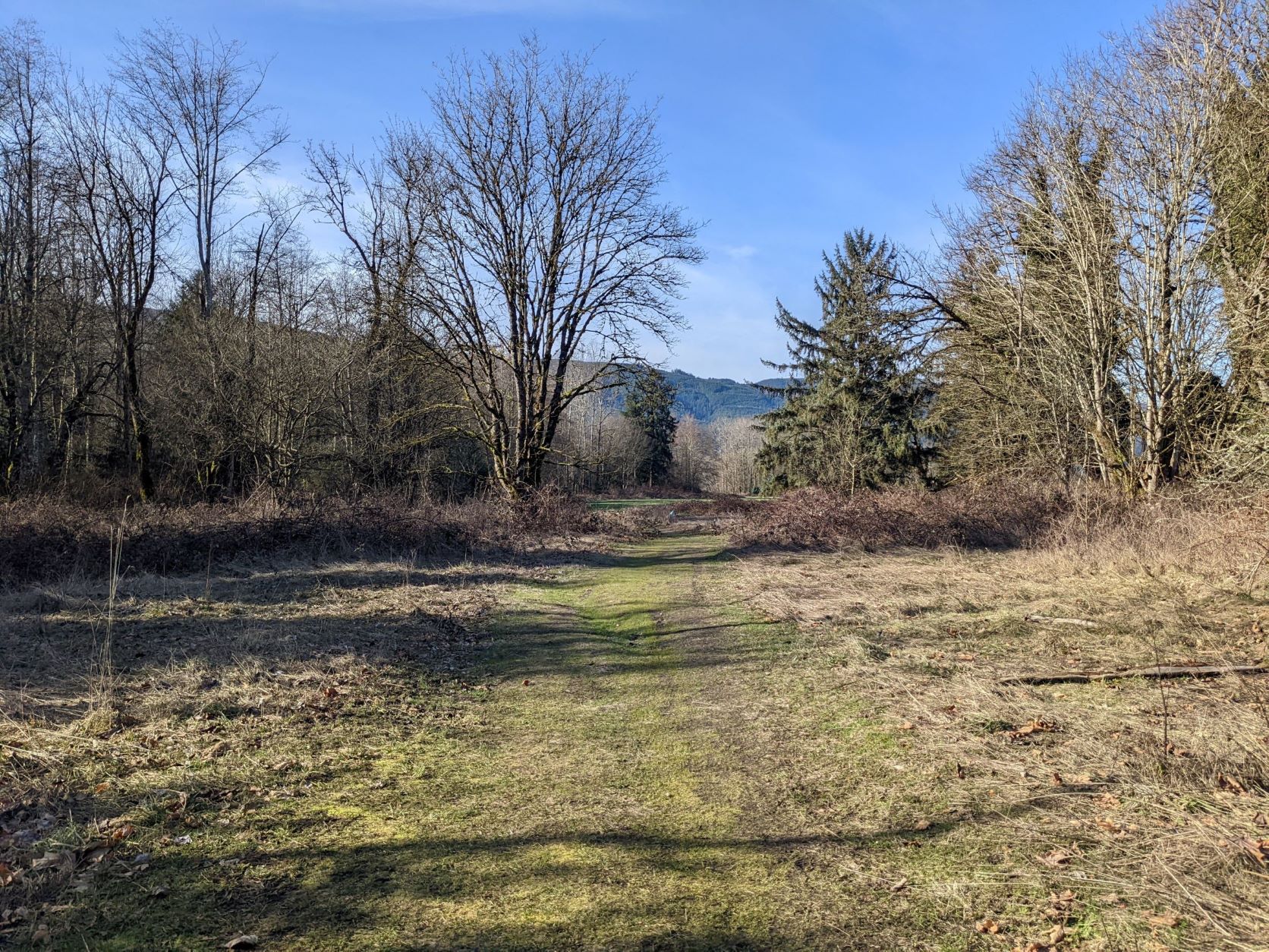 South Fork County Park — Washington Trails Association