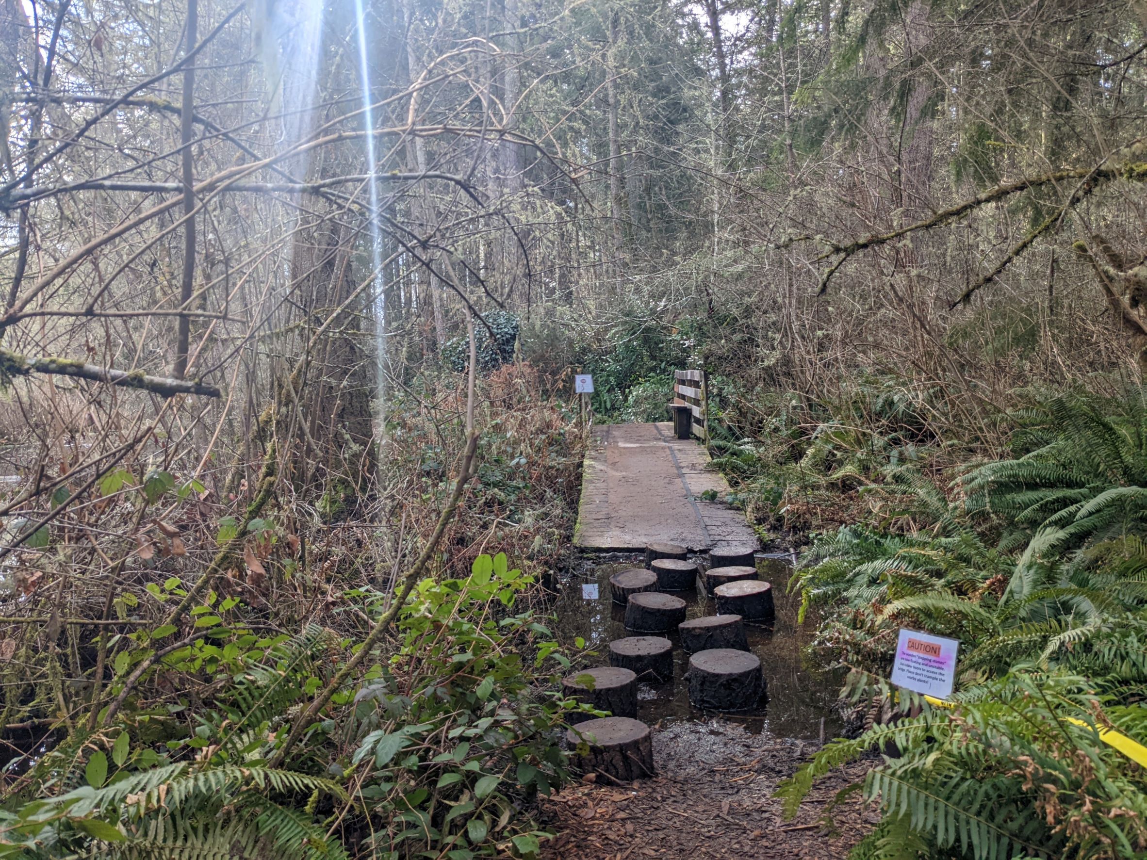 Farrell's Marsh Wildlife Area — Washington Trails Association
