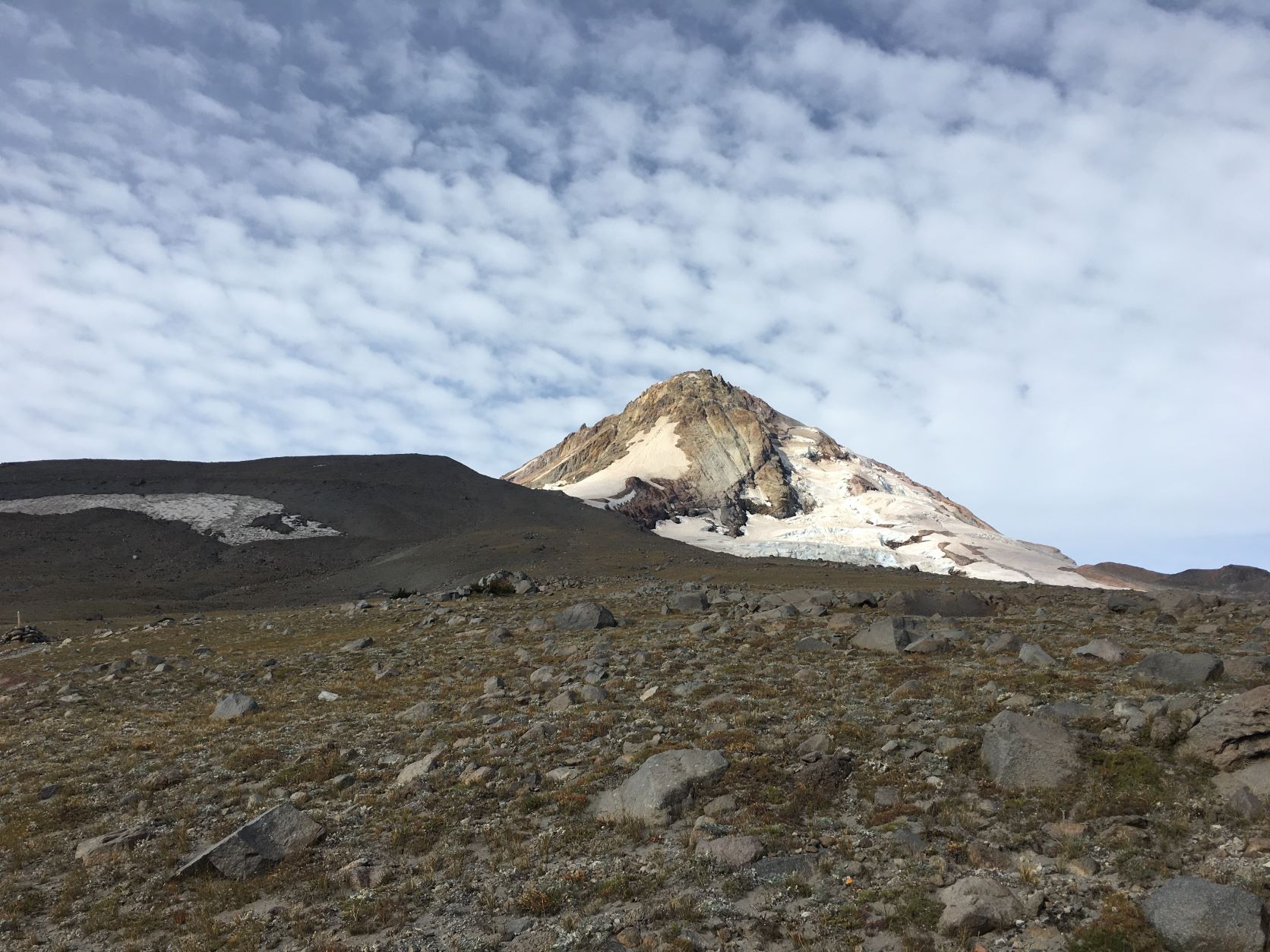 Timberline Trail - Gnarl Ridge Junction to Timberline Lodge ...