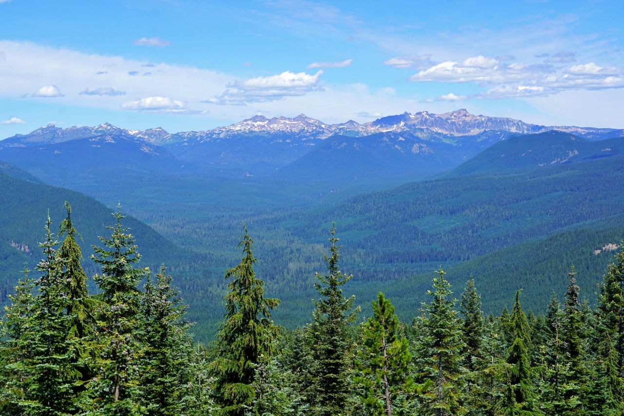 Spring Creek - Green Mountain — Washington Trails Association