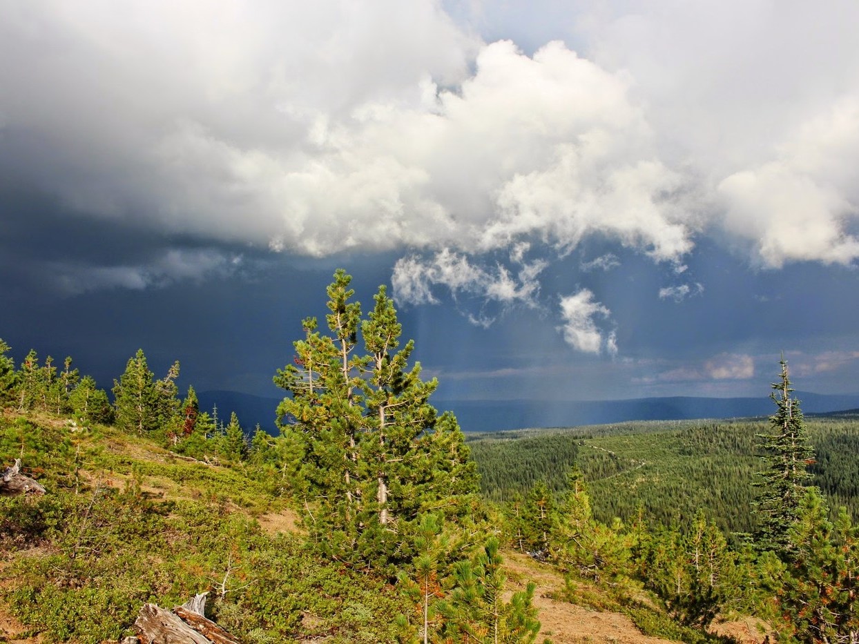 Potato Hill — Washington Trails Association
