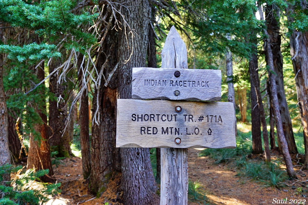Race Track Shortcut — Washington Trails Association