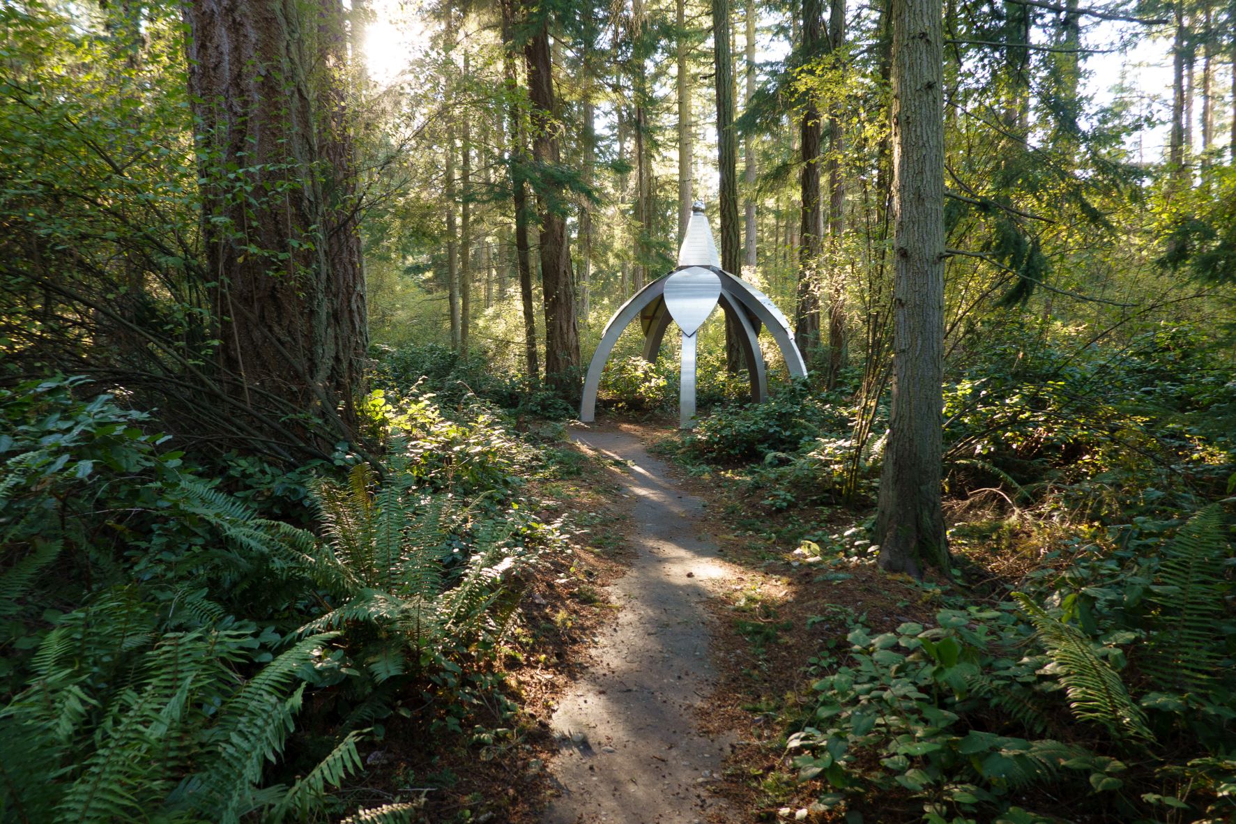 Price Sculpture Forest — Washington Trails Association