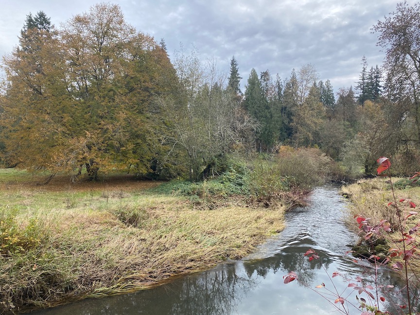 Gordy Jolma Family Natural Area — Washington Trails Association
