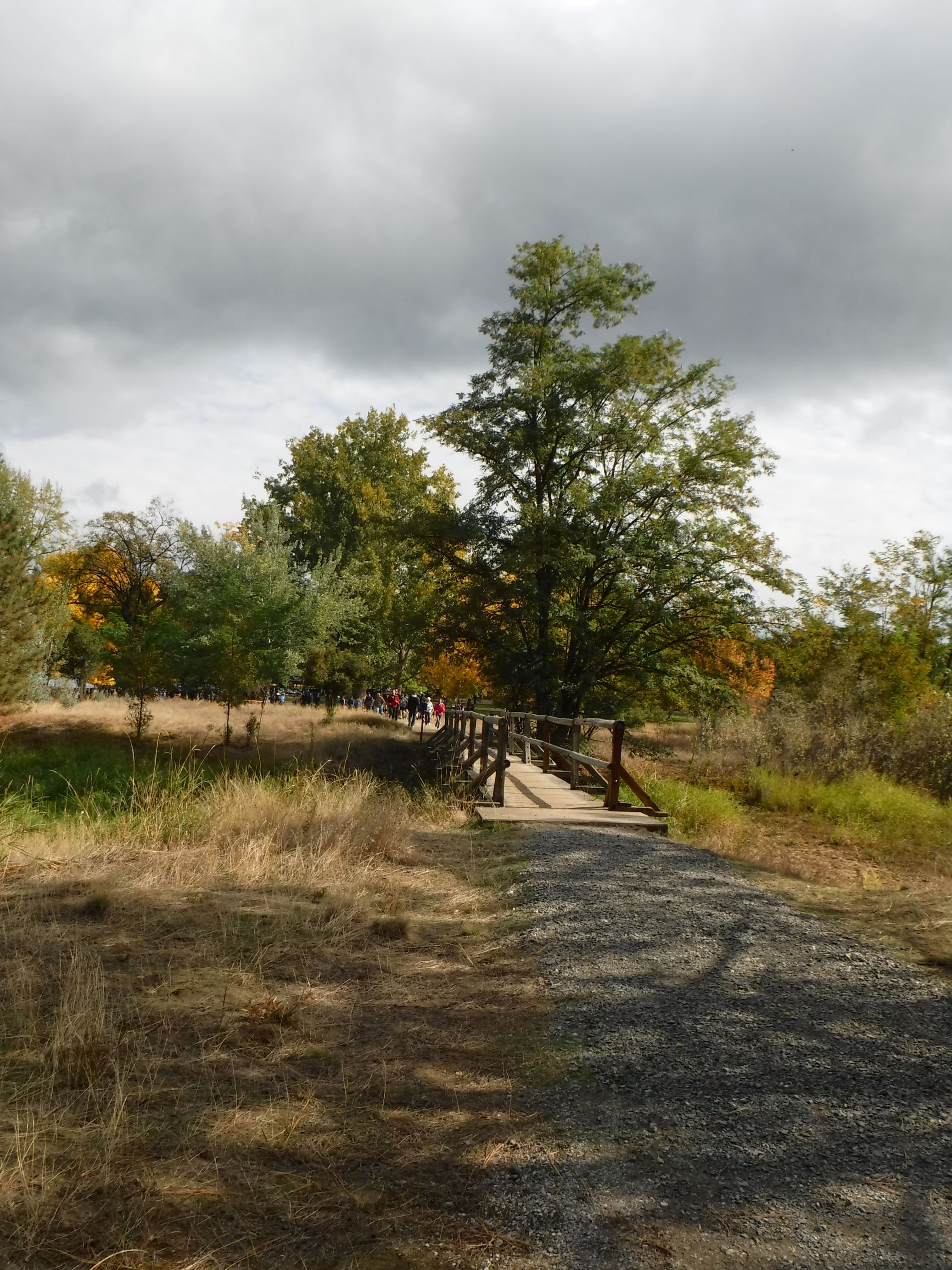 Old Kettle Falls Trail — Washington Trails Association
