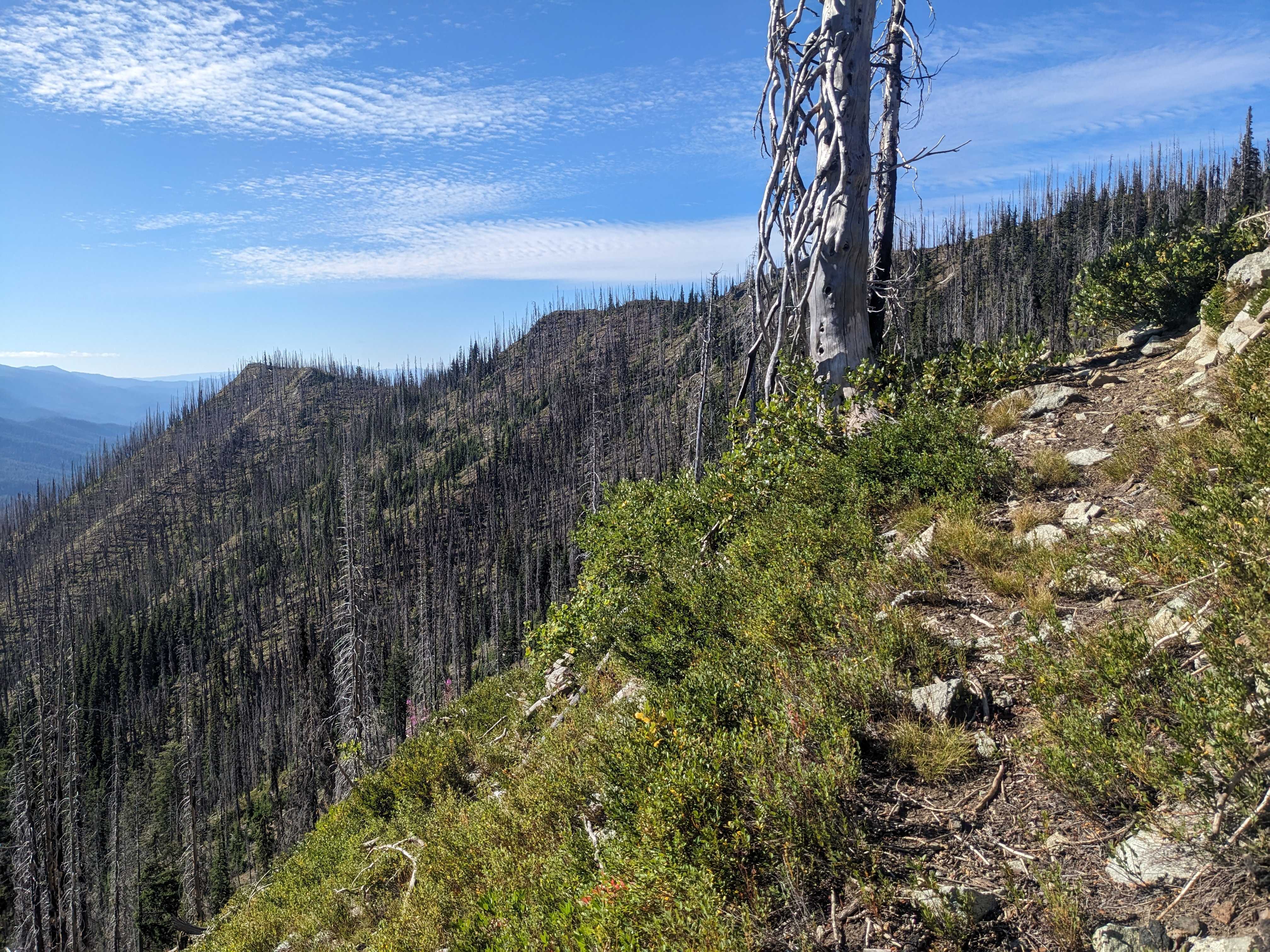 Basalt Peak via Basalt Pass — Washington Trails Association