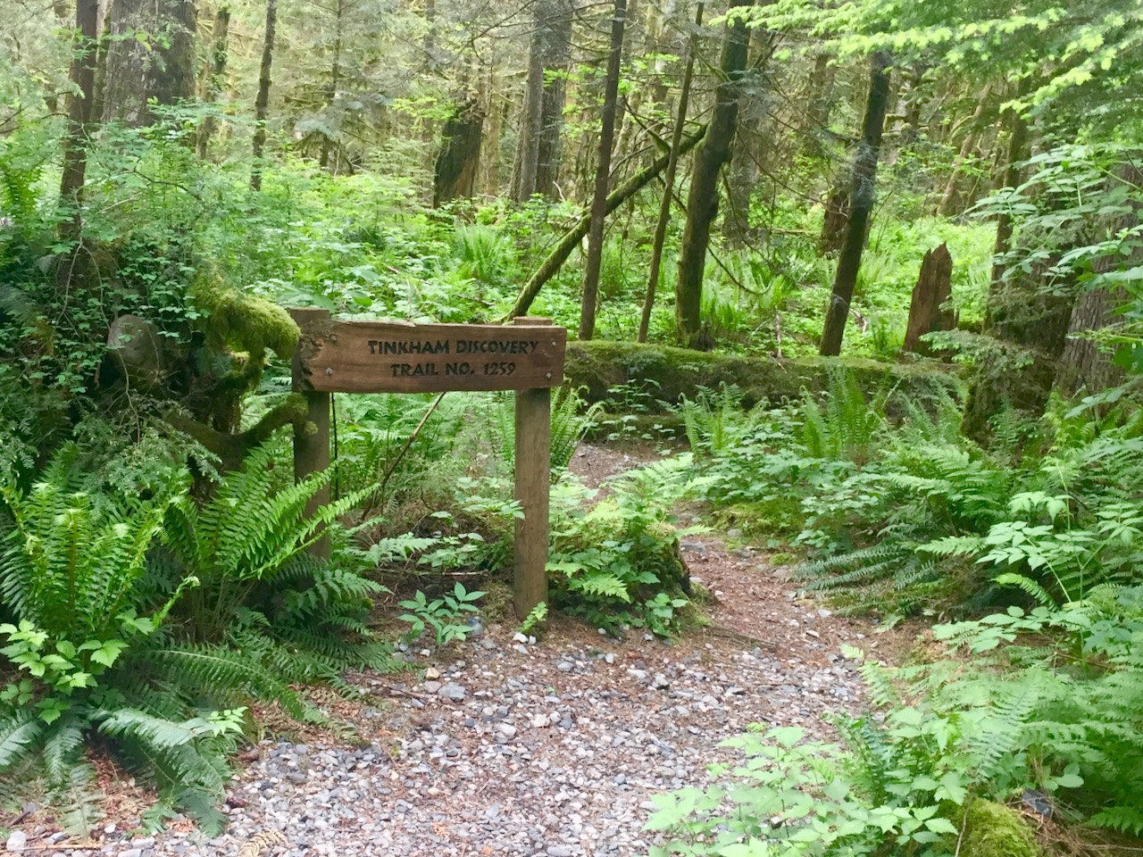 Tinkham Discovery — Washington Trails Association