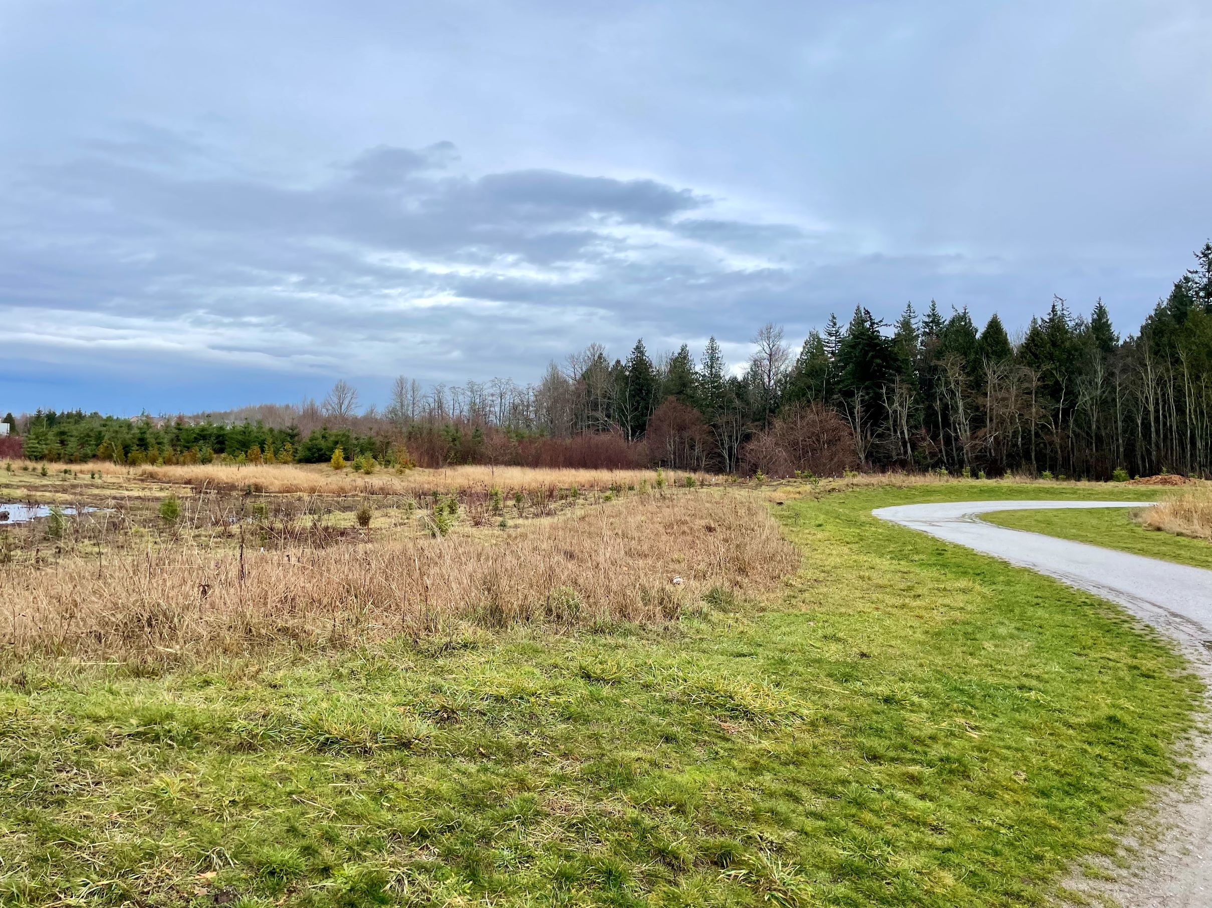 Cordata Park — Washington Trails Association