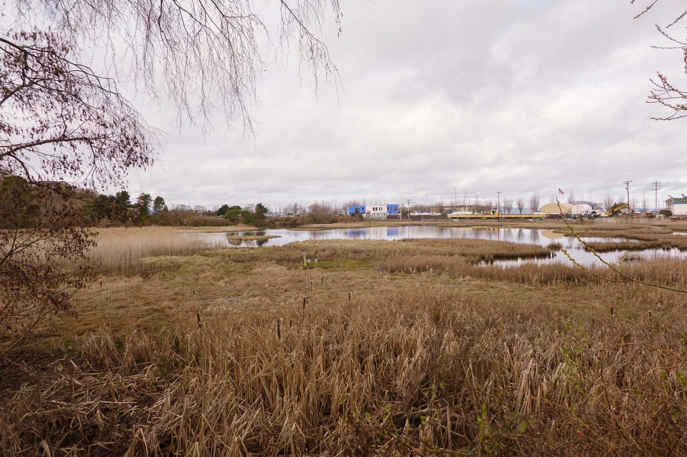 Edmonds Marsh — Washington Trails Association