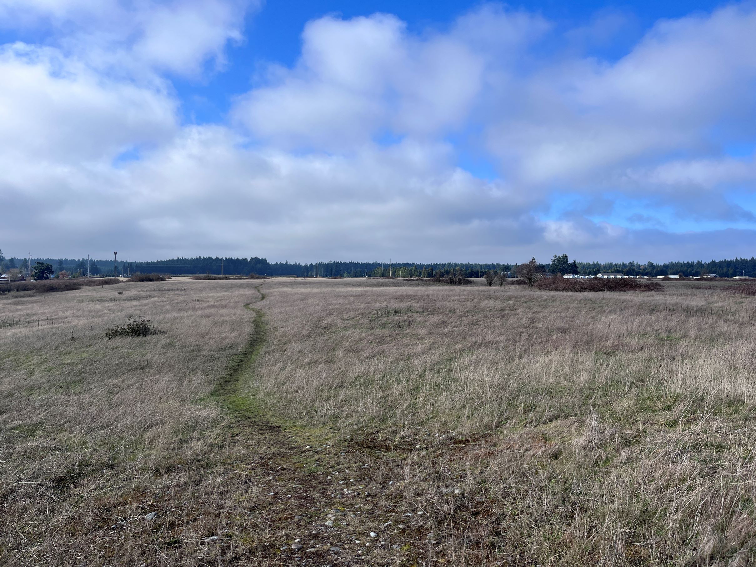 Pacific Rim Institute — Washington Trails Association