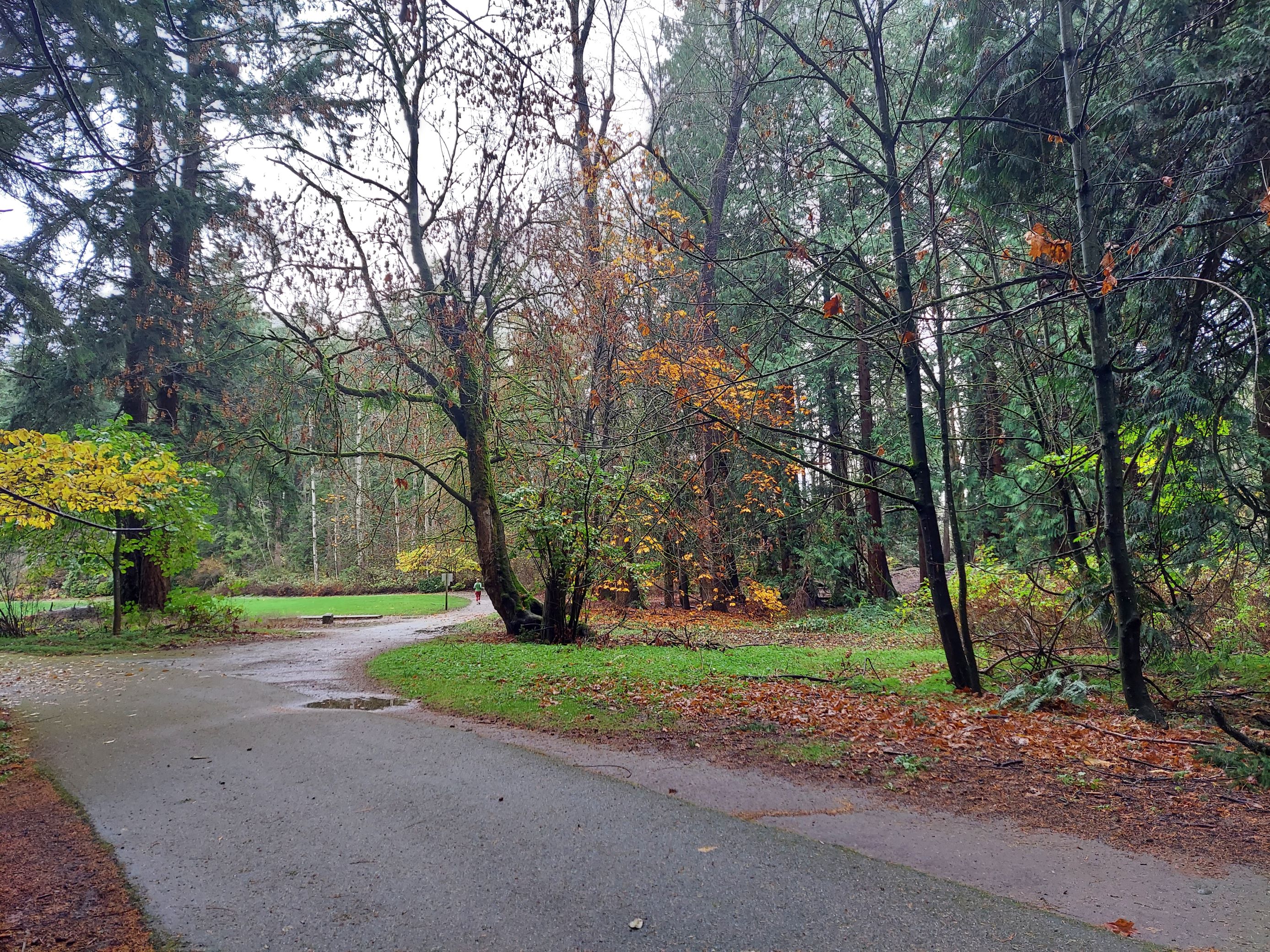 Cornwall Park — Washington Trails Association