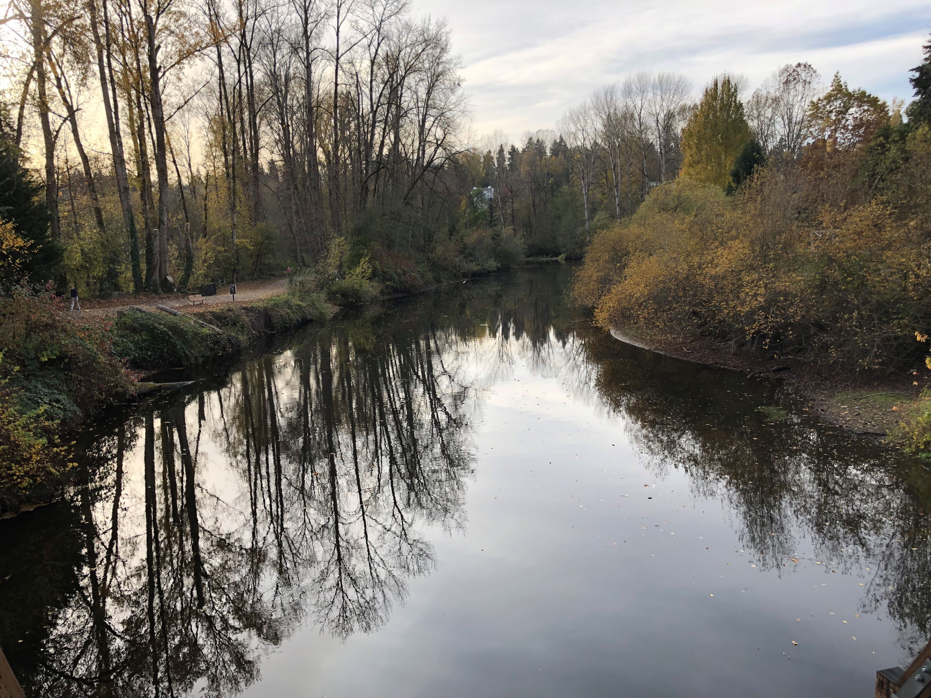 Tolt Pipeline - Sammamish River Loop — Washington Trails Association