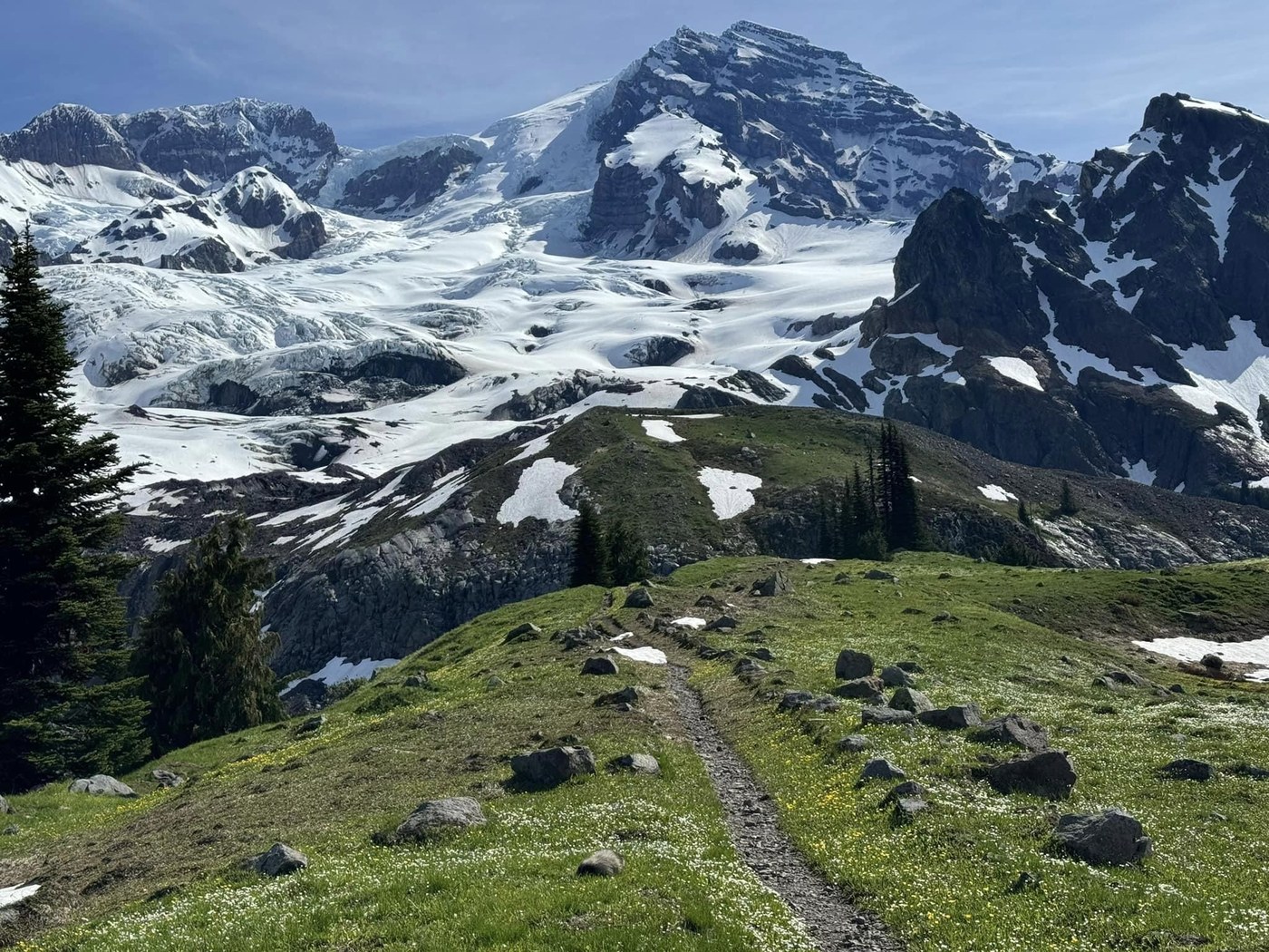 Tahoma Creek Suspension Bridge - Emerald Ridge Loop — Washington Trails Association