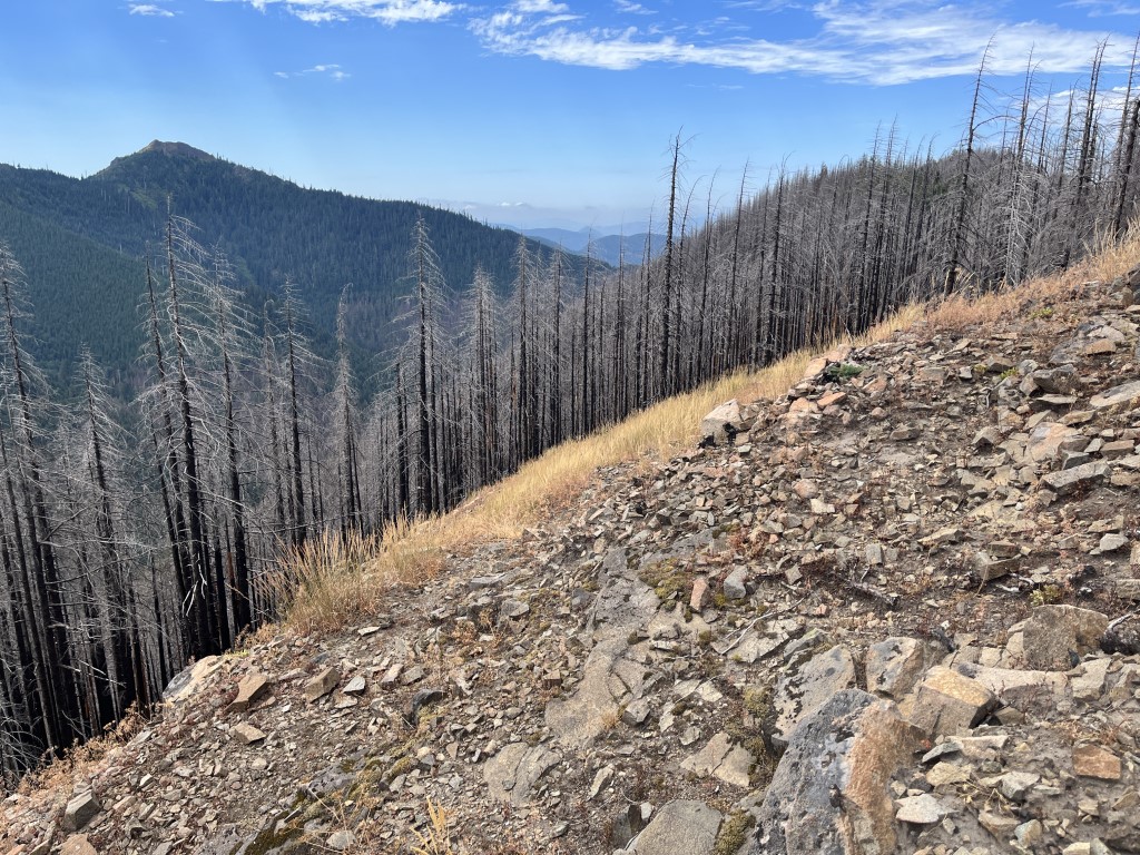 Horseshoe Ridge — Washington Trails Association