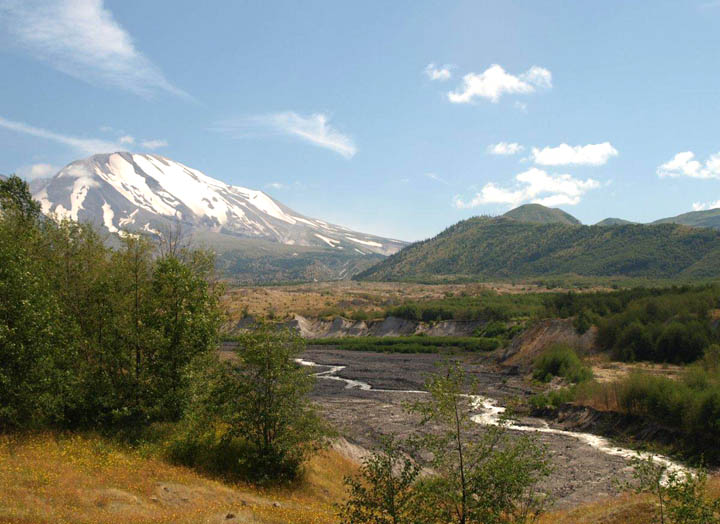 Hummocks Trail — Washington Trails Association