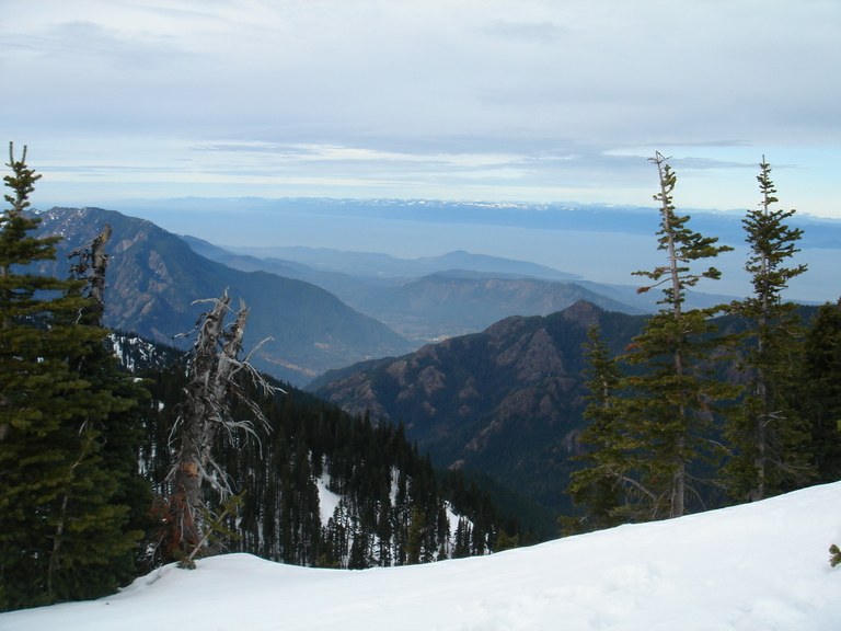 Hurricane Ridge Snowshoe — Washington Trails Association