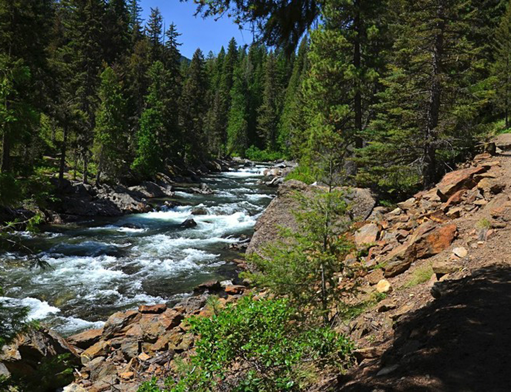 Icicle Gorge Nature Loop — Washington Trails Association