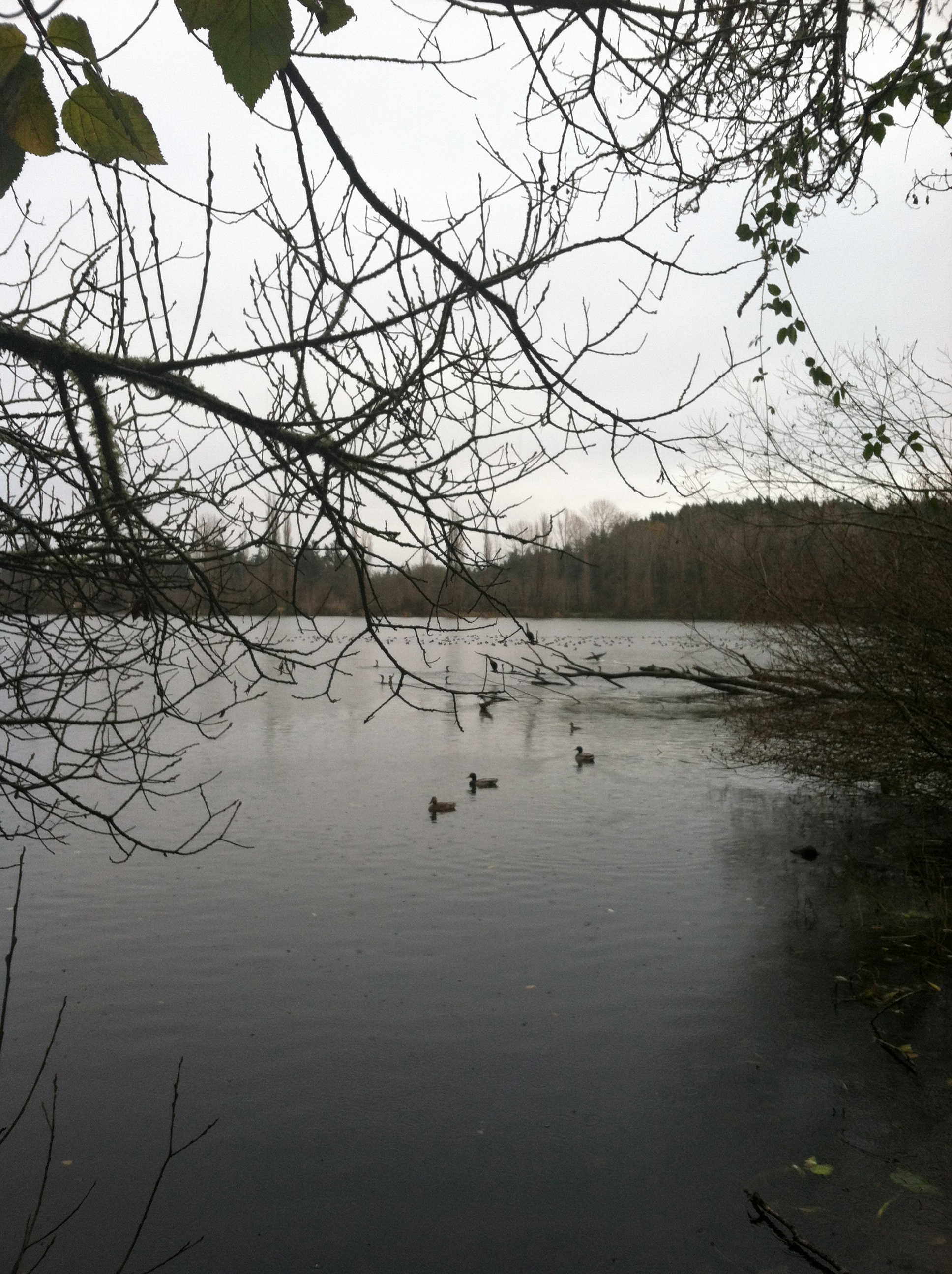 Fort Steilacoom Park — Washington Trails Association