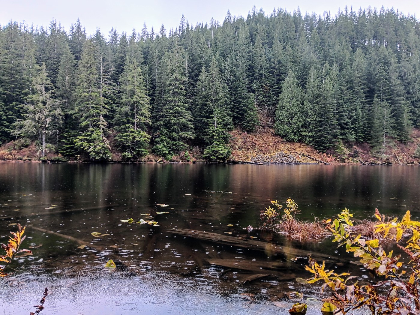 Wallace Falls State Park - Jay Lake — Washington Trails Association