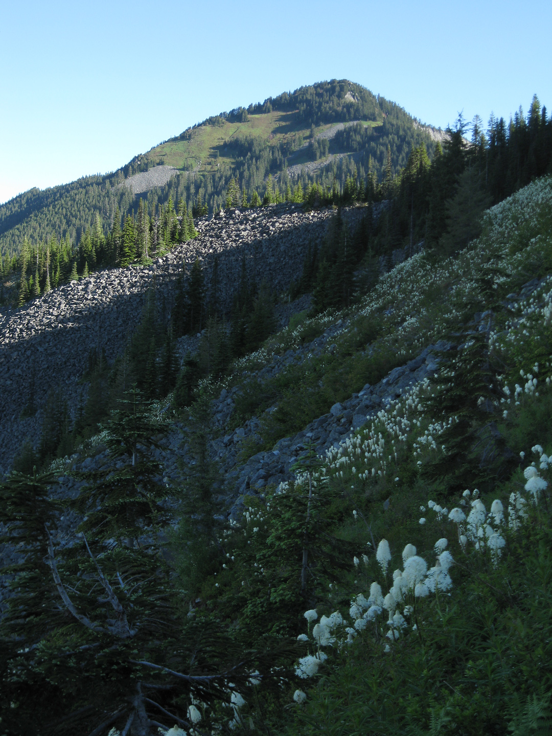 Mount Defiance — Washington Trails Association