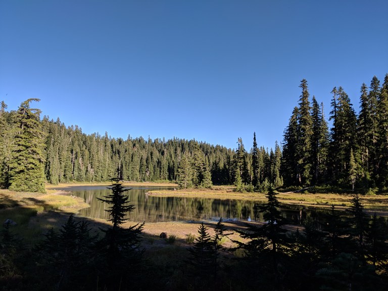 Junction Lake — Washington Trails Association