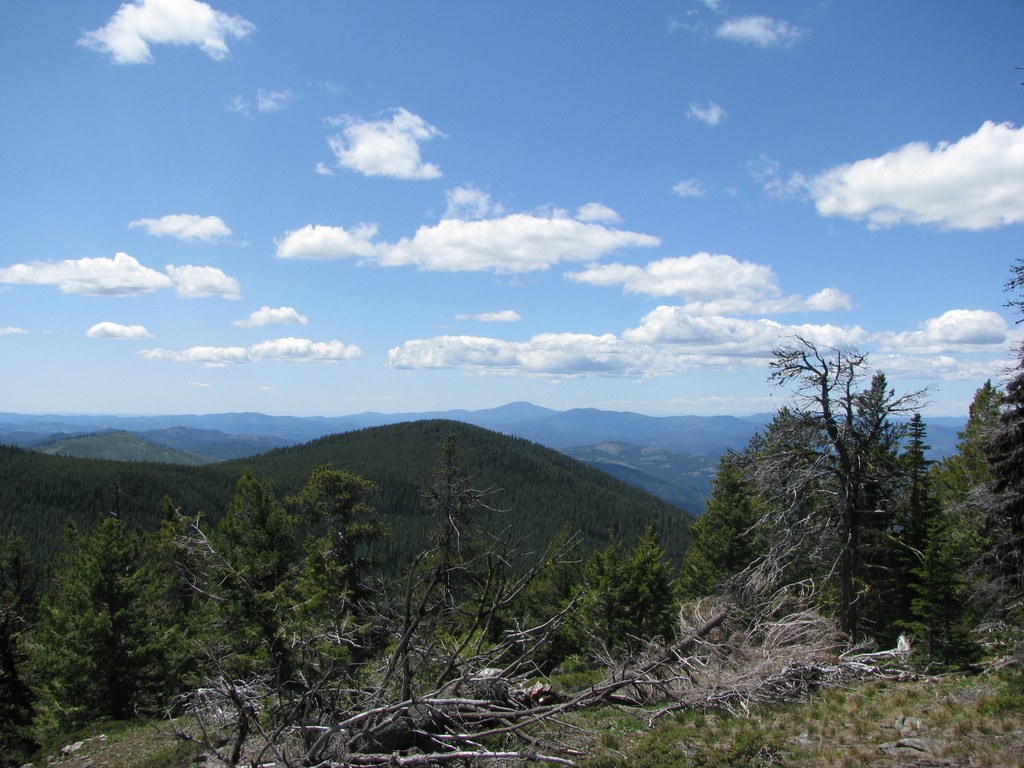 Jungle Hill Loop — Washington Trails Association