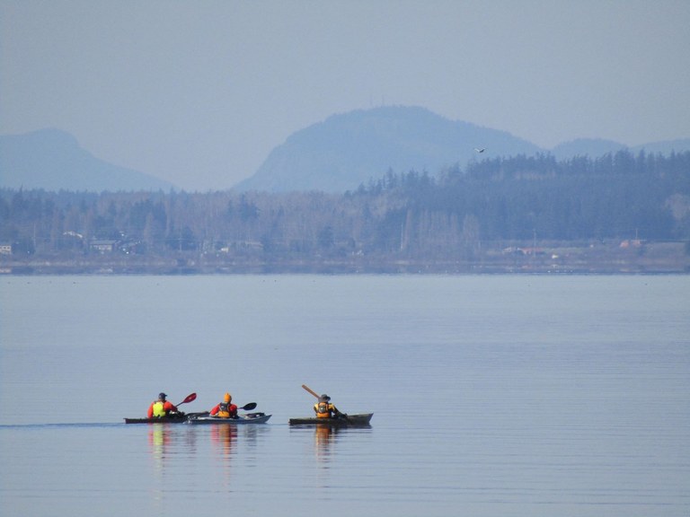 Kayak Point Park — Washington Trails Association