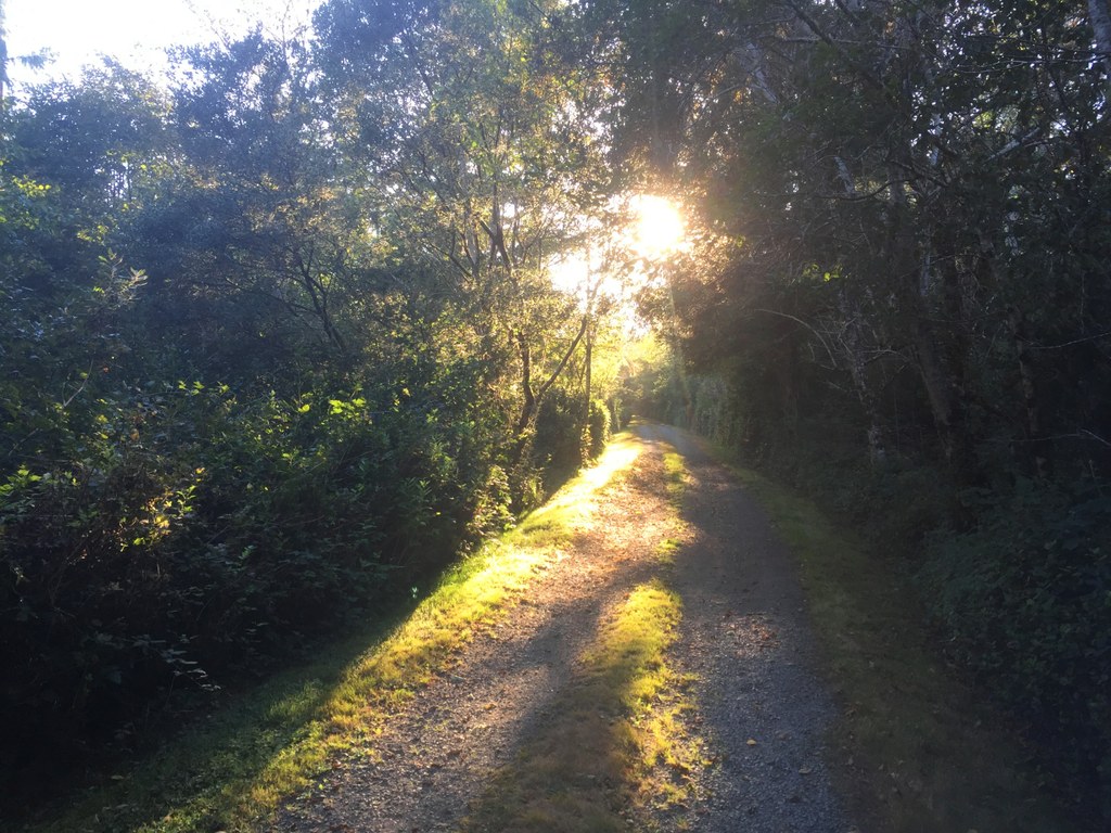Leadbetter Point State Park - Martha Jordan Birding Trail — Washington ...