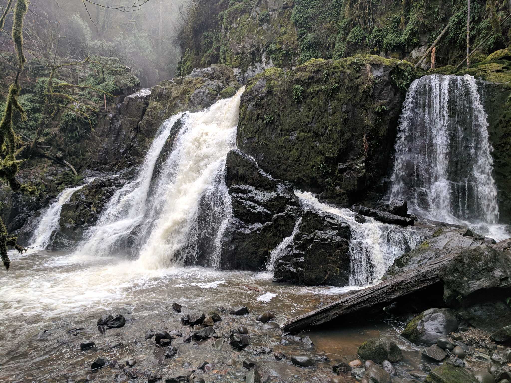 Little Mashel Falls - Pack Forest — Washington Trails Association