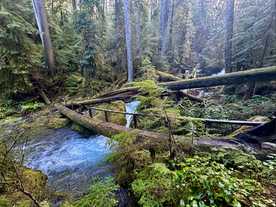 Little River — Washington Trails Association