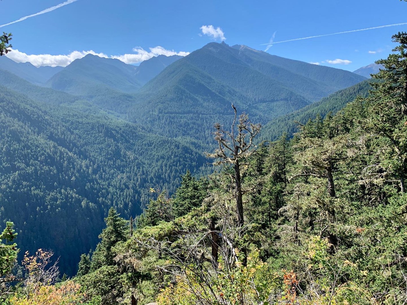 Upper Dungeness River — Washington Trails Association