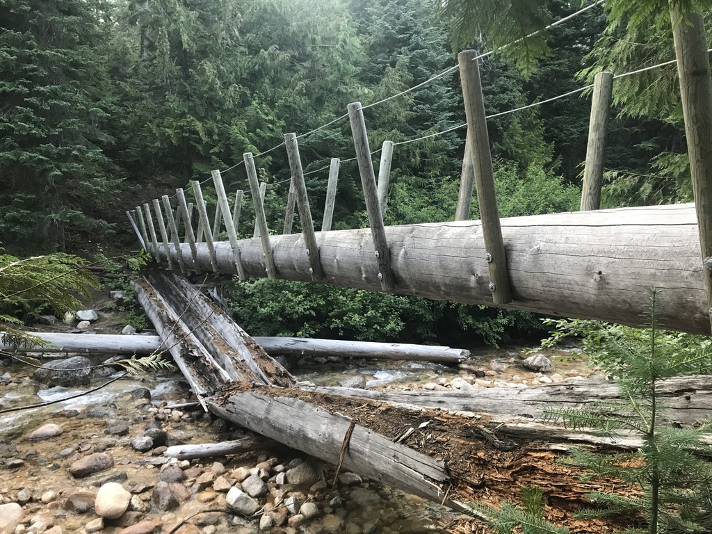 Lone Fir Loop — Washington Trails Association