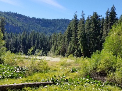 Long Lake — Washington Trails Association