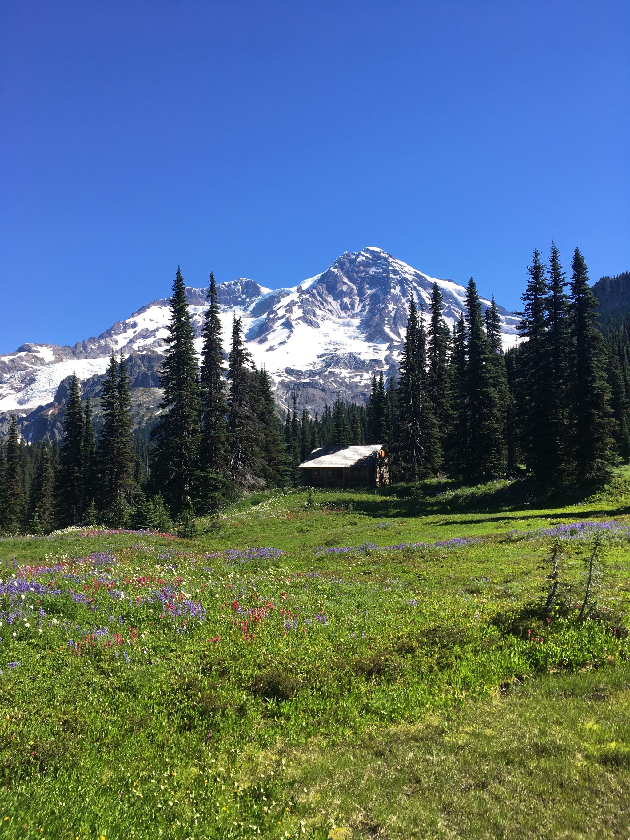 Longmire to South Puyallup River — Washington Trails Association