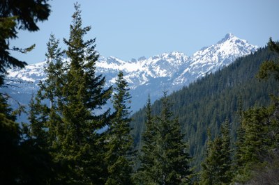 Kachess Ridge / Kachess Beacon — Washington Trails Association