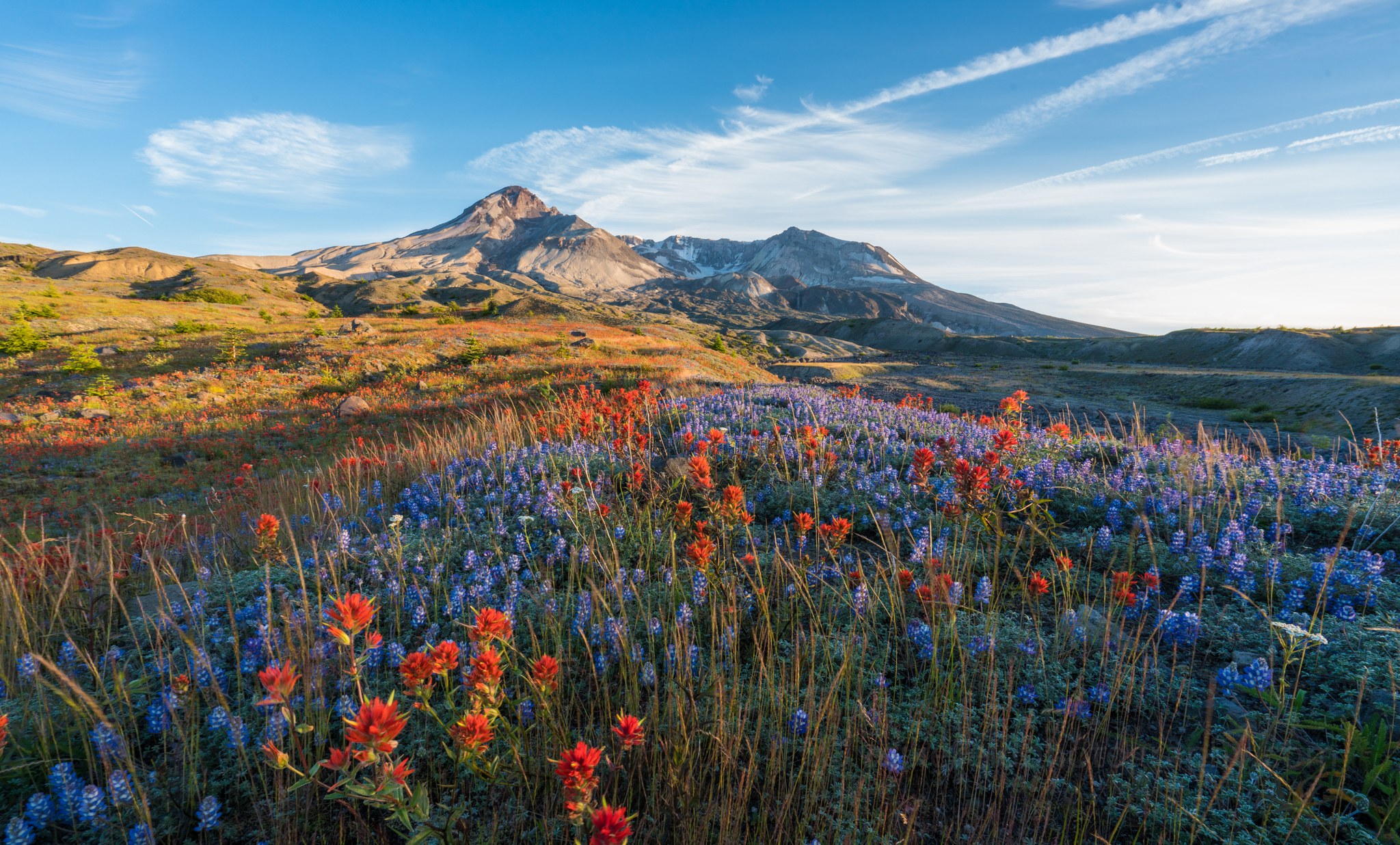 Loowit Trail — Washington Trails Association